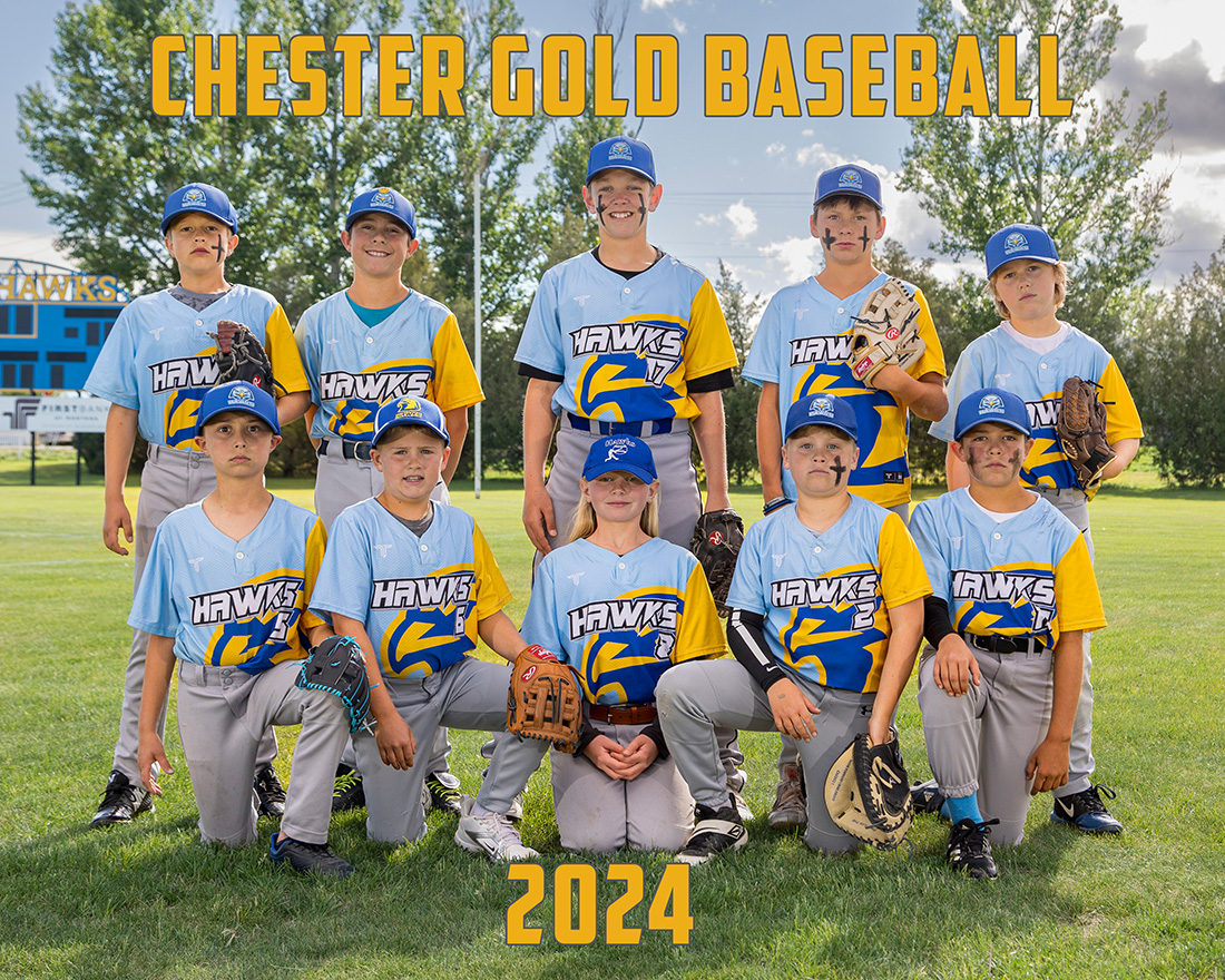 2025 Blue & Gold Baseball Photo Pre-order