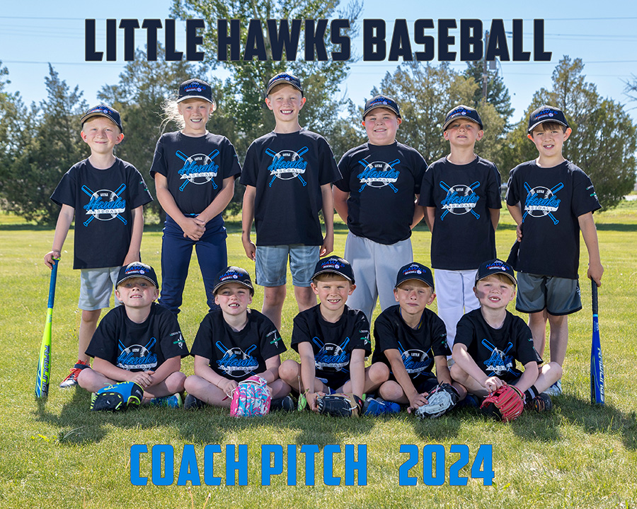 CJI Baseball Photo Pre-order